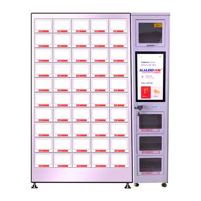 Automatic Locker Vending Machine With 50 Lockers Souvenir Vending ...